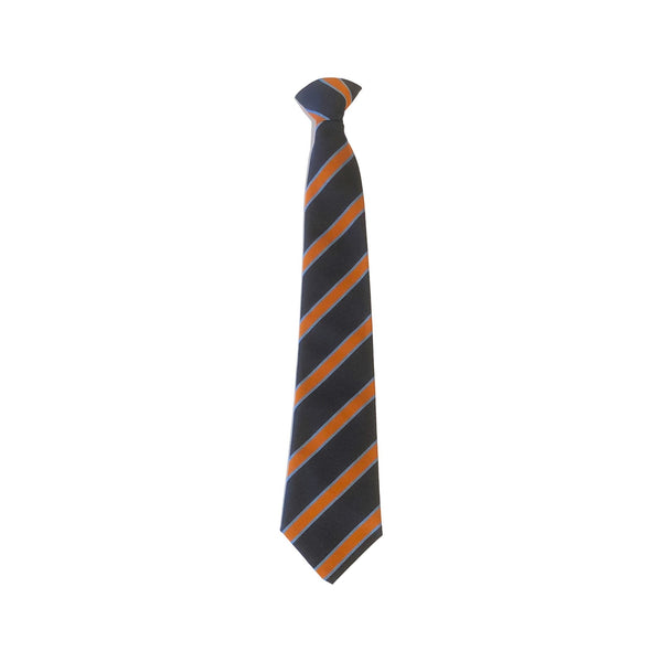 Regent High School Clip On Tie